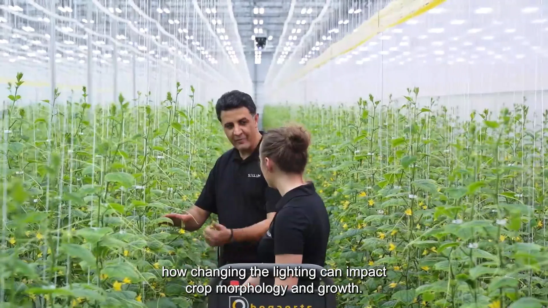 Sollum's dynamic led grow light solution