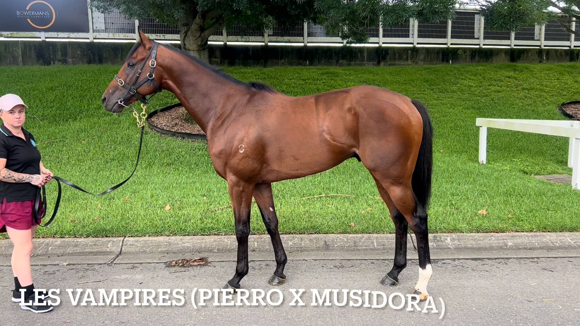 Les Vampires (Pierro x Musidora) on Vimeo