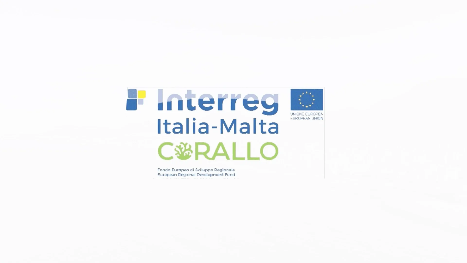 Corallo final dissemination Video clip on Vimeo