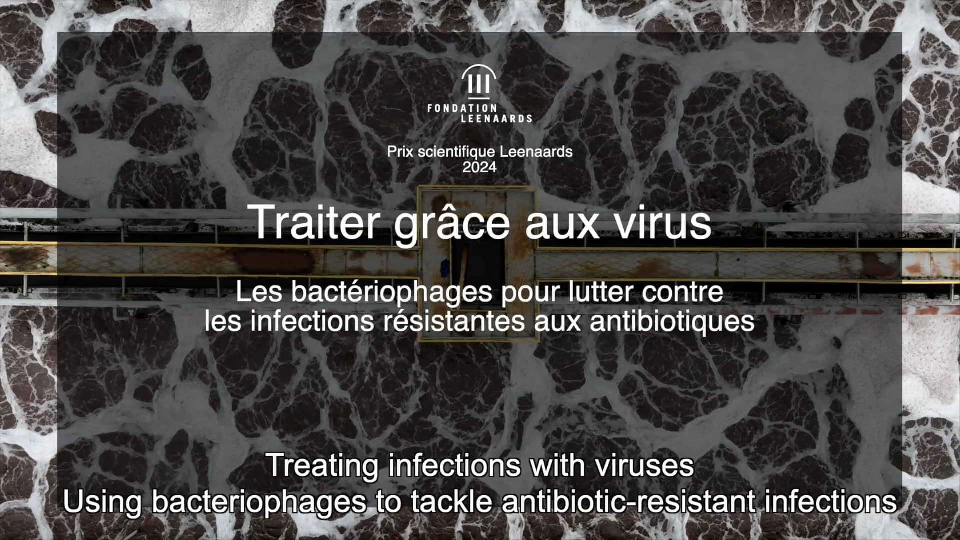 Les bactériophages pour lutter contre les infections résistantes aux ...