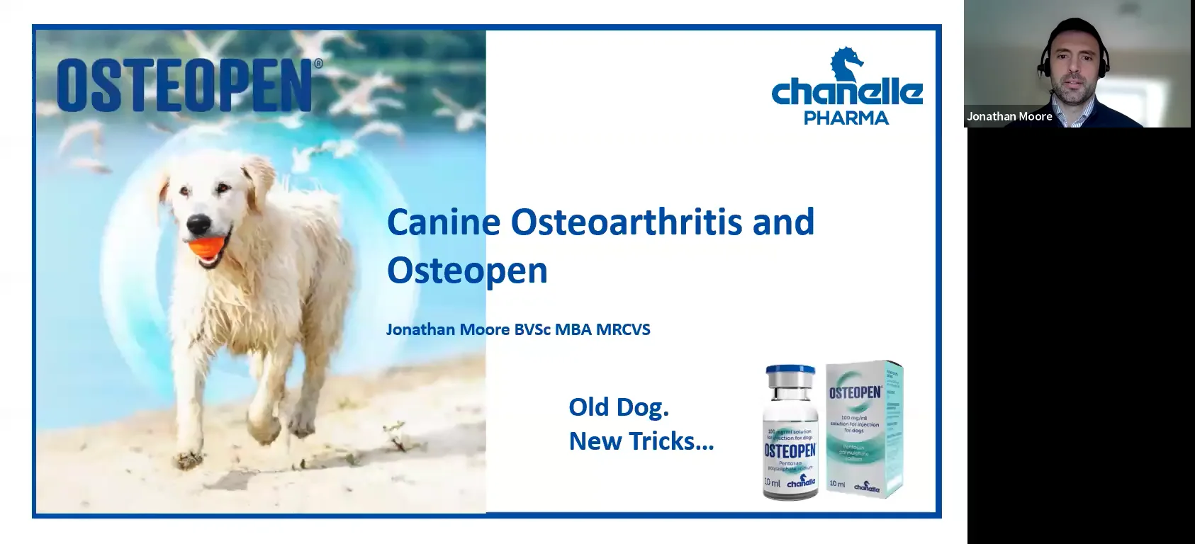 Canine Osteoarthritis and Osteopen