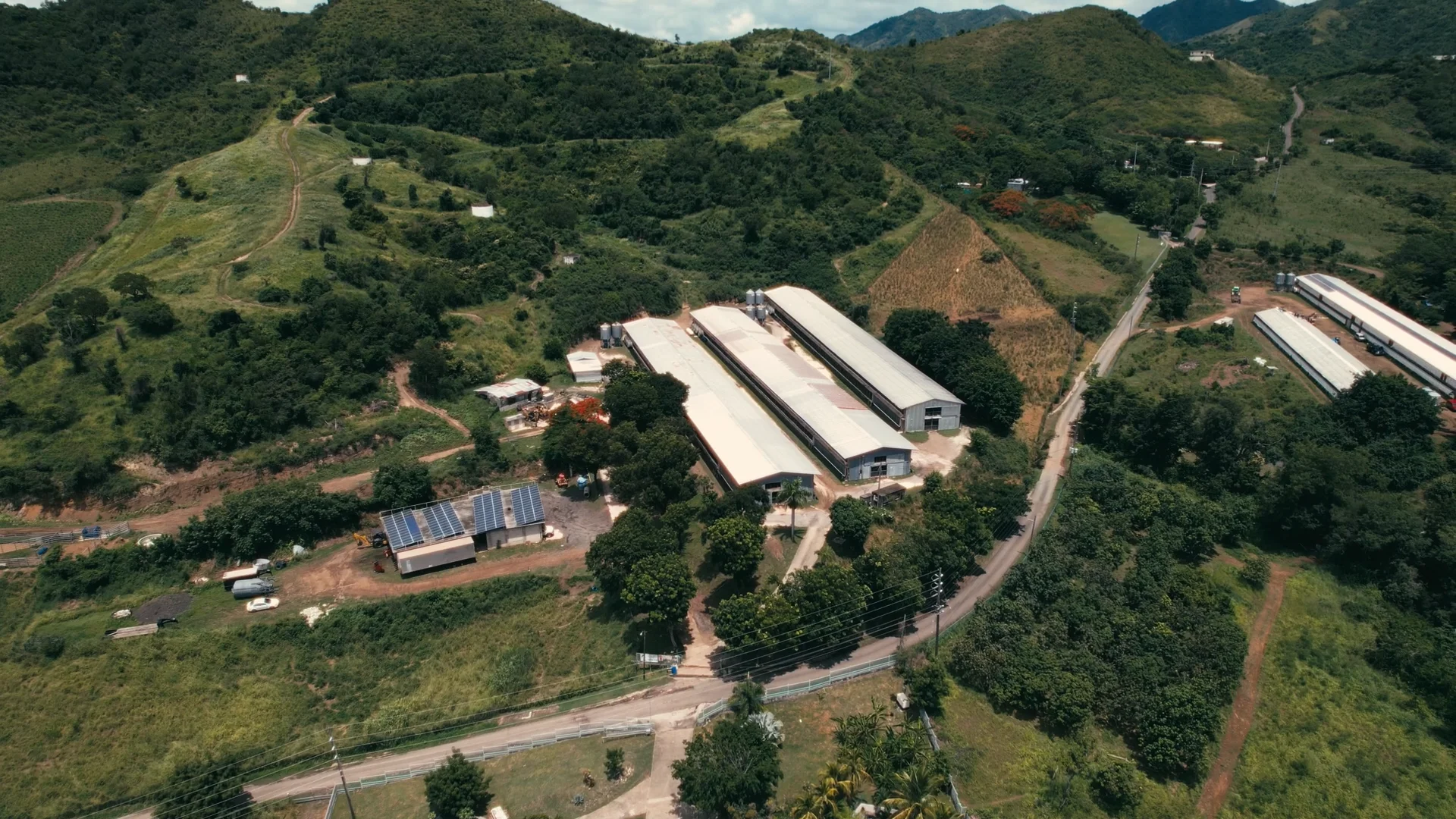 Gonzalez Farm - Puerto Rico Farm Credit on Vimeo