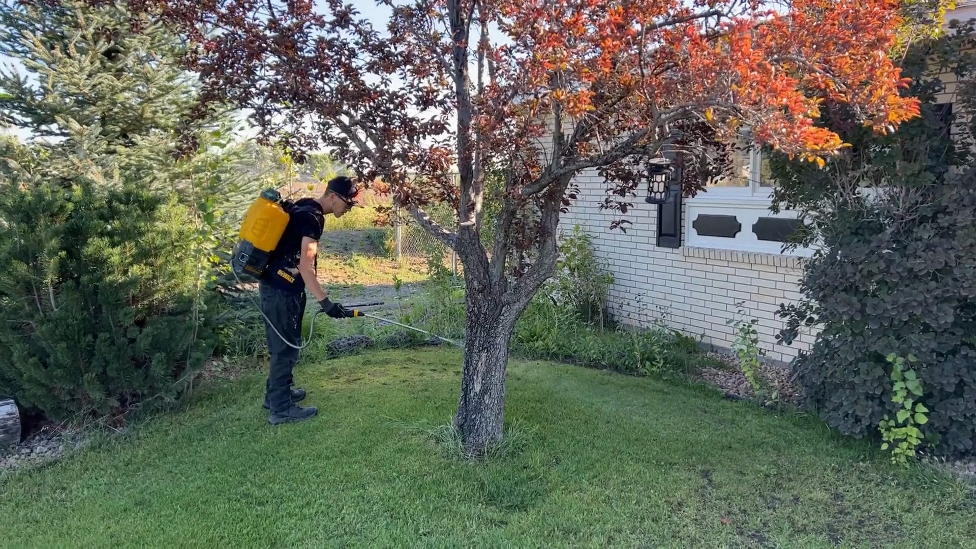 Phoenix Cleaning and Pest Control