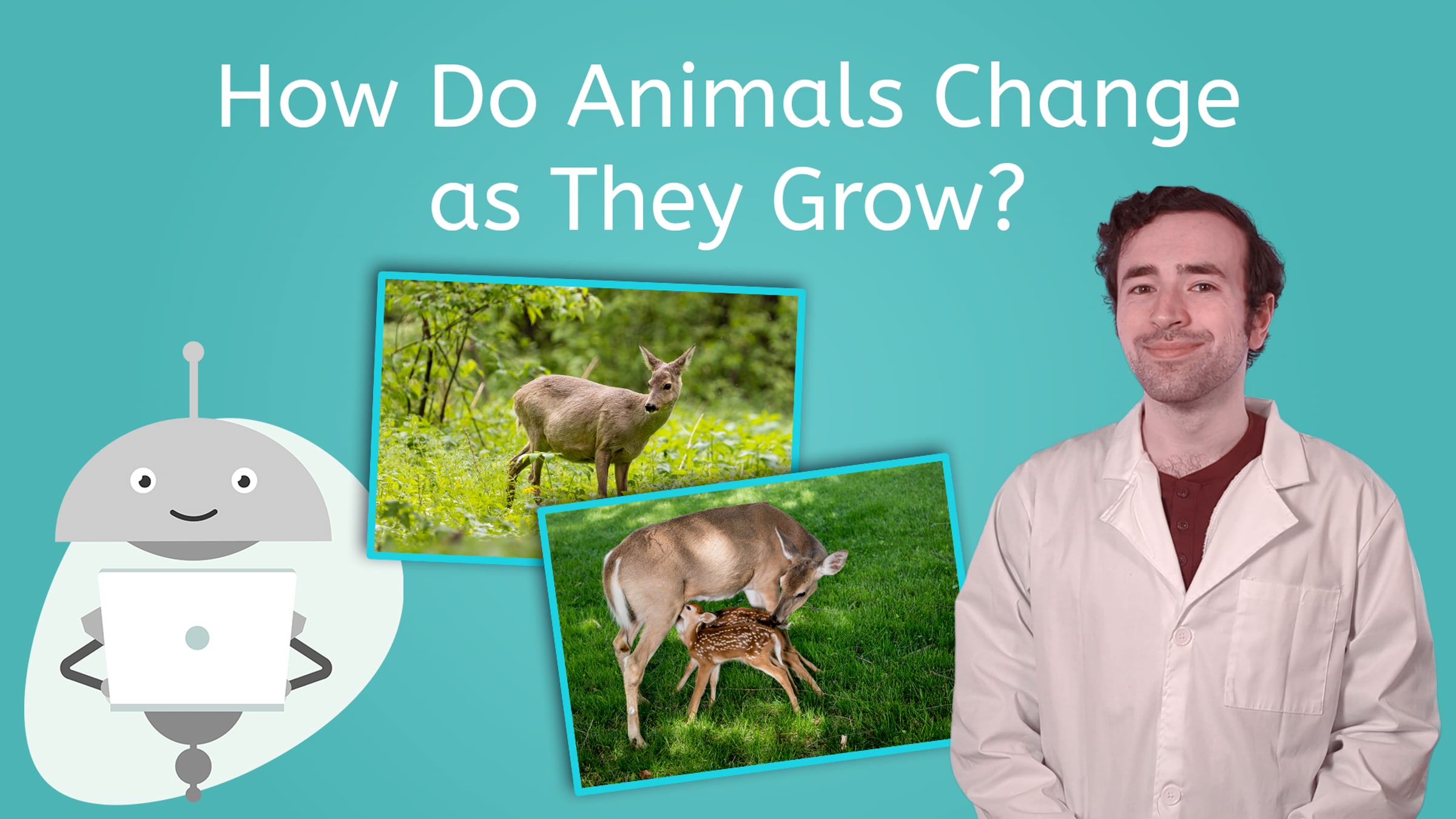 How Do Animals Change as They Grow?