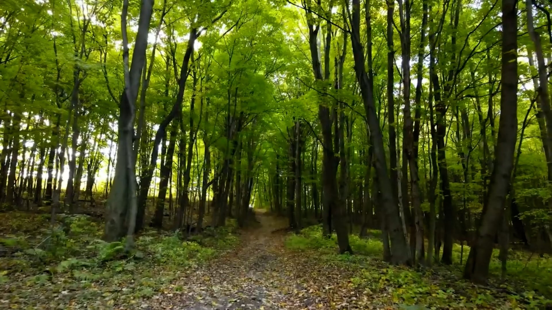 Residential Projects | JCK Construction