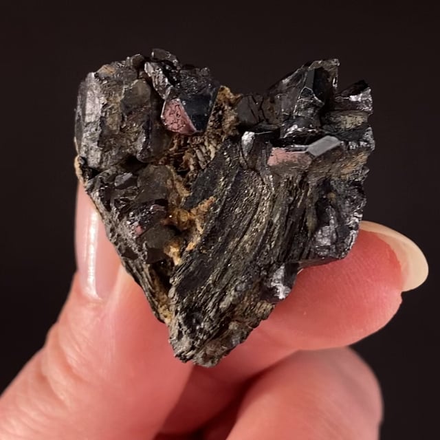 Ilmenite (fine old classic) | Ilmen Nature Reserve (Miass), Chelyabinsk ...