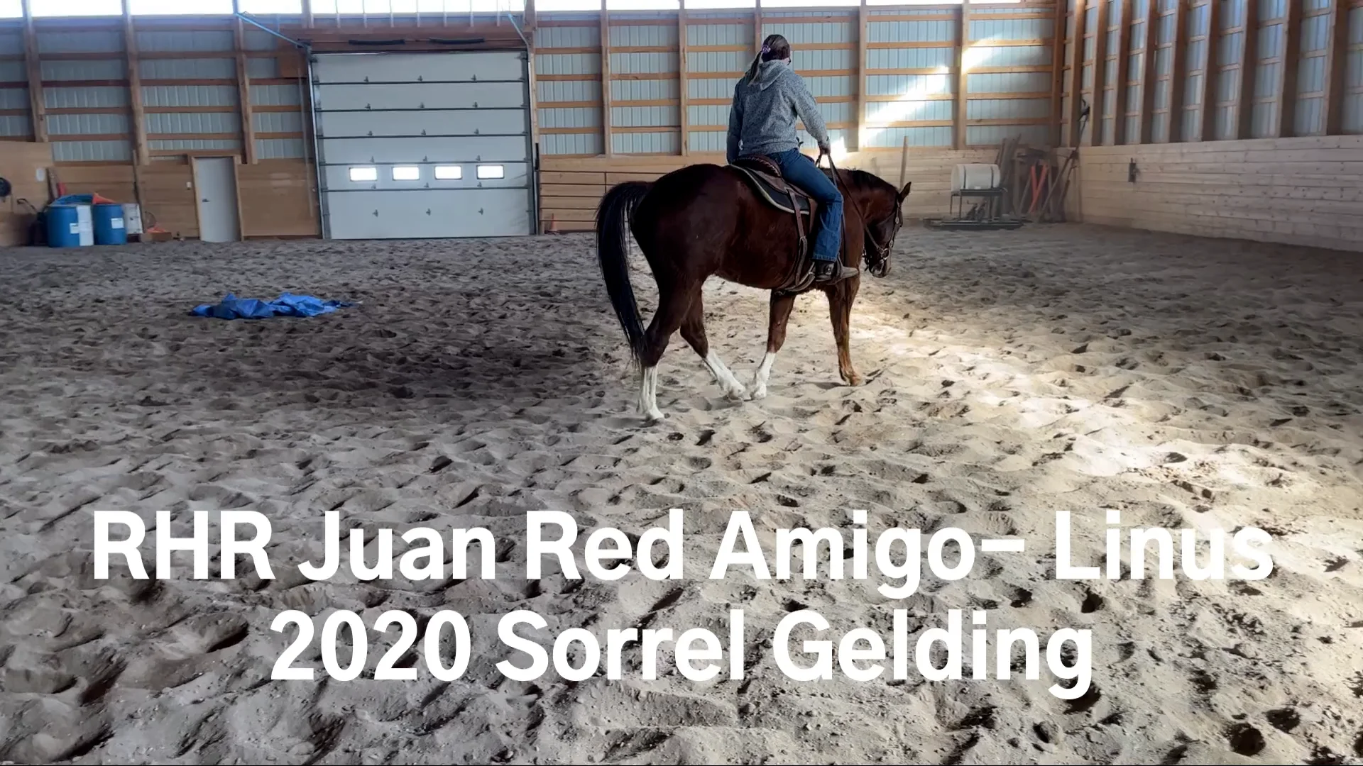RHR Juan Red Amigo- W/T/C