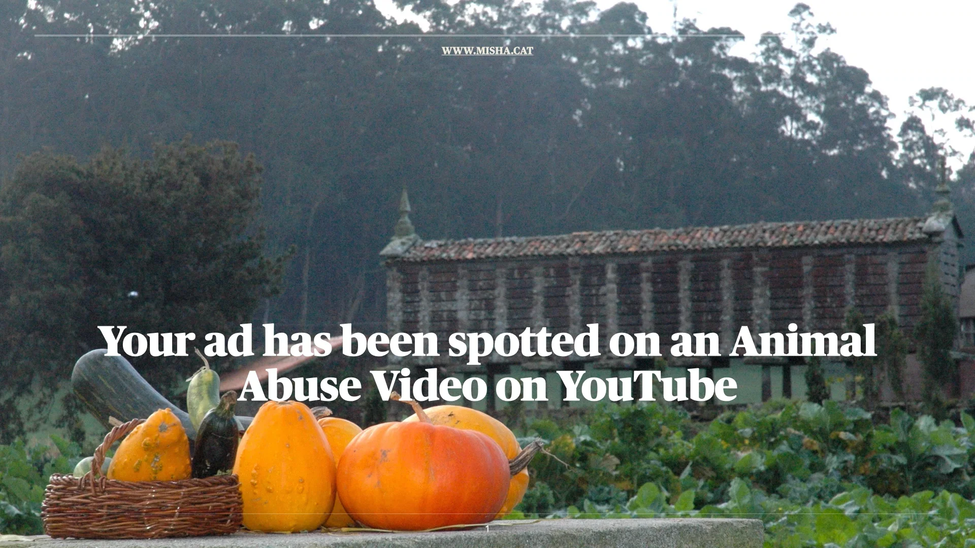 240224 Advertisers Guild Against Fake Animal Rescue Test (Samsung) on Vimeo