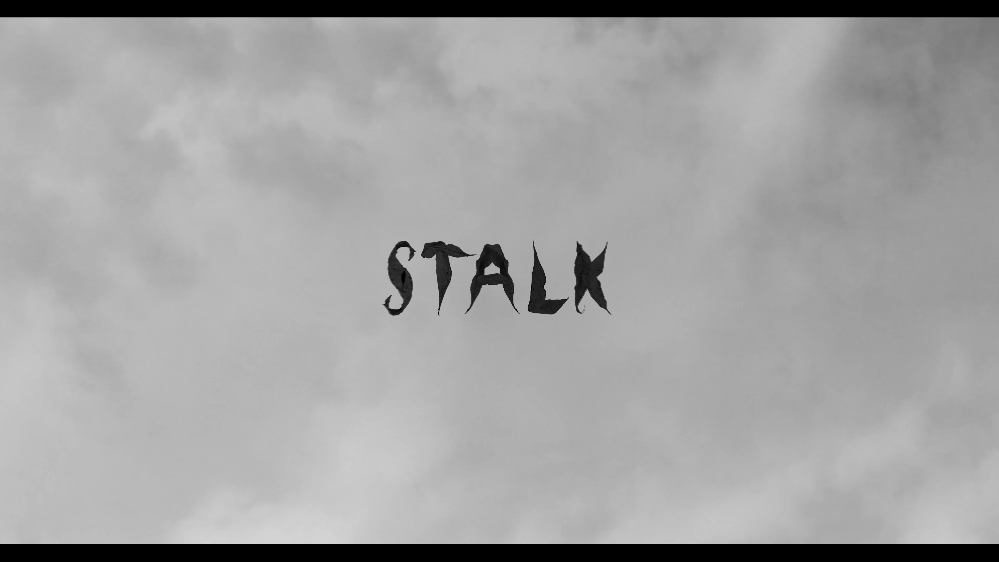 Stalk