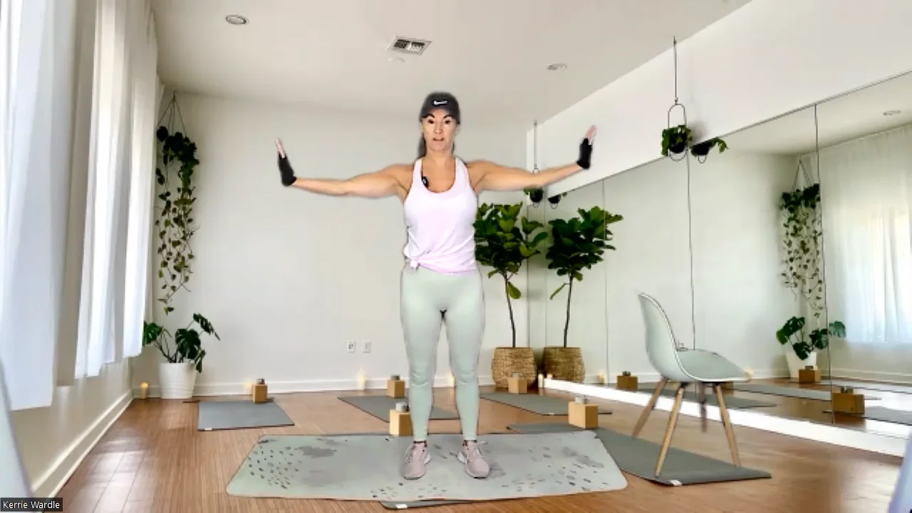 Kerrie FitWorx YOUNG AT HEART FULL BODY STANDING WORKOUT WITH HAND ...