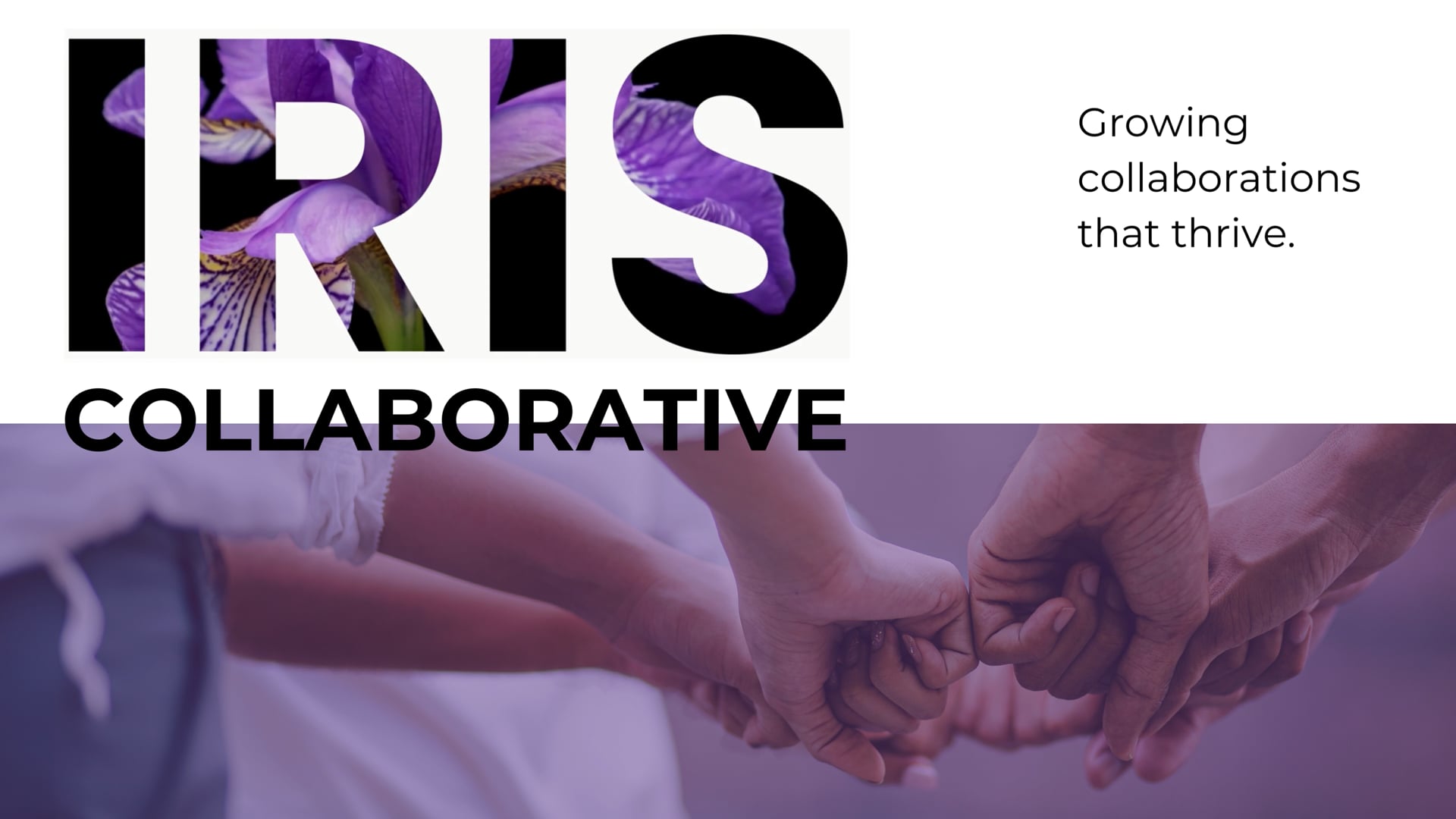 The IRIS Collaborative