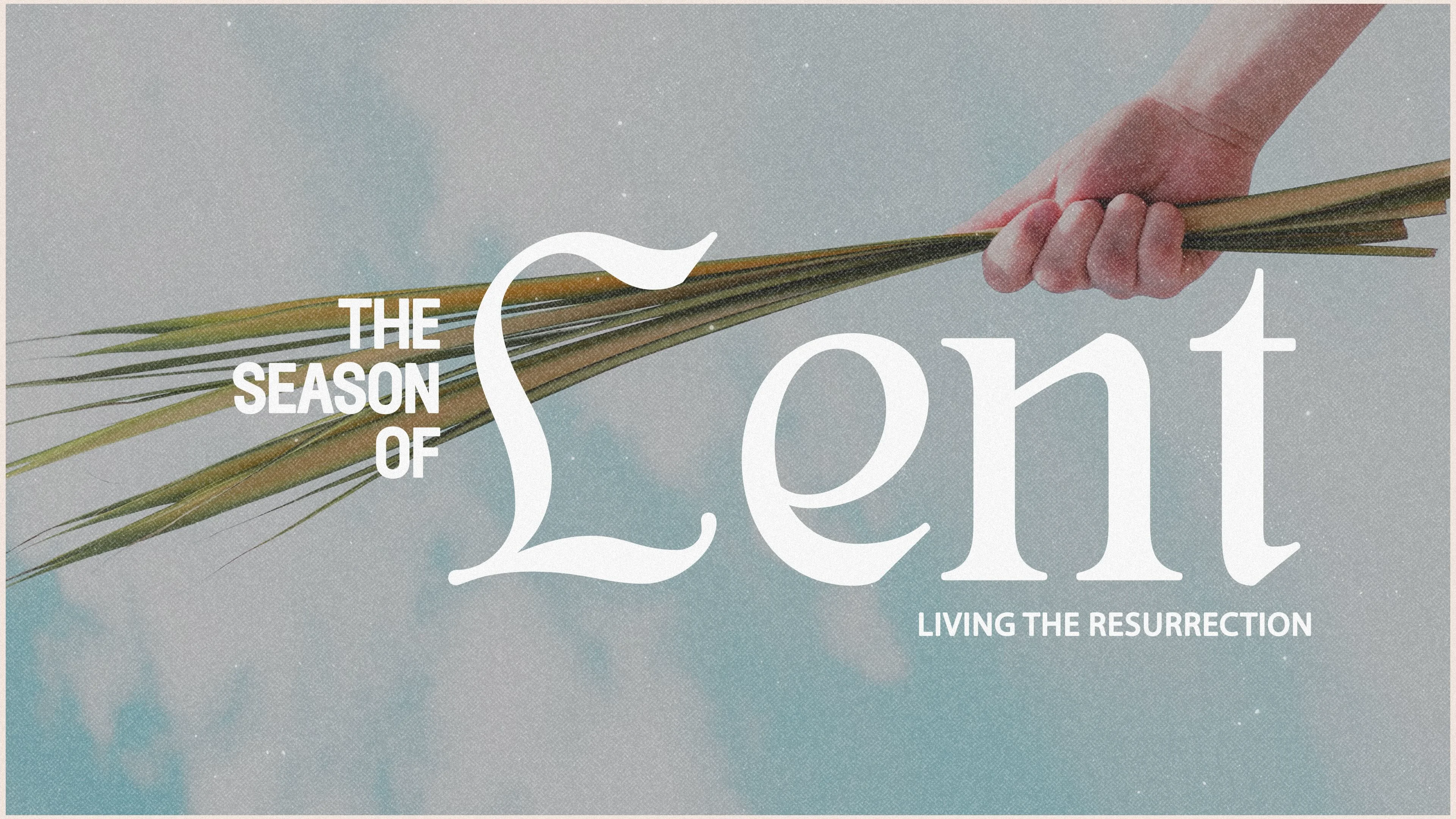 LENT - Simon Peter on Vimeo