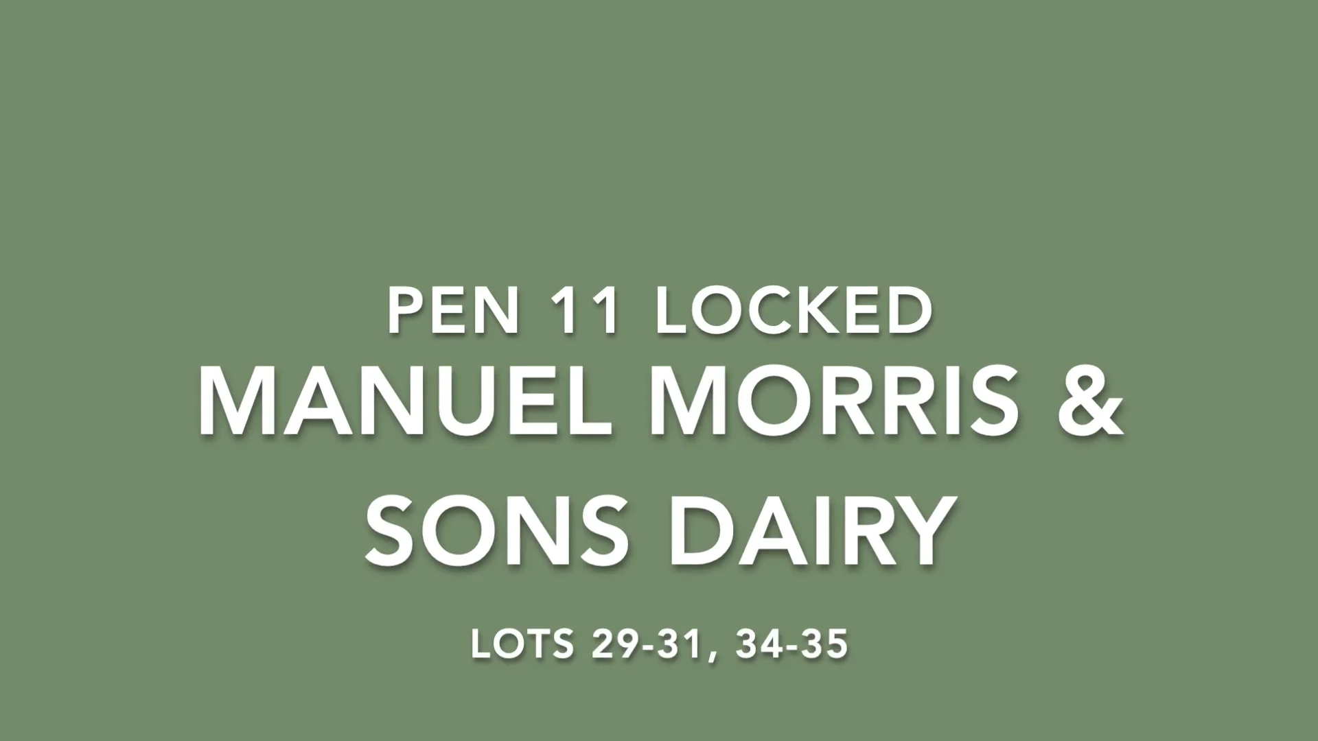 PEN 11 LOCKED MANUEL MORRIS & SONS DAIRY on Vimeo