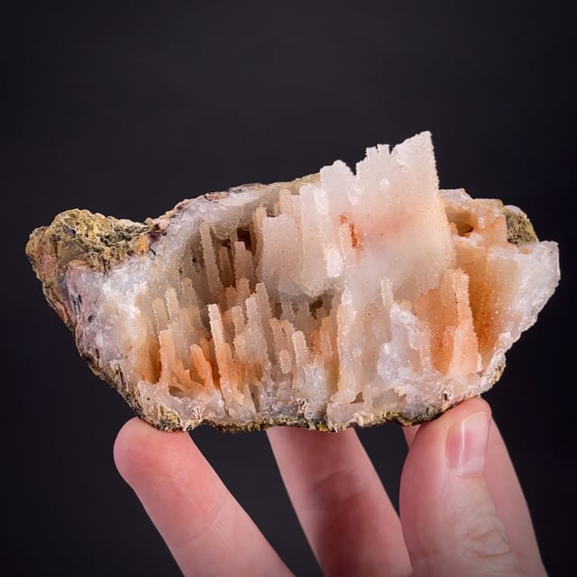 Old Collection Auction!