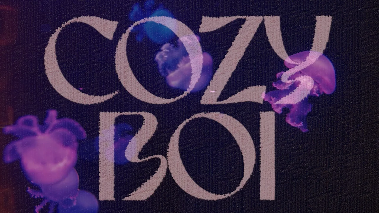 cozy boi visuals on Vimeo
