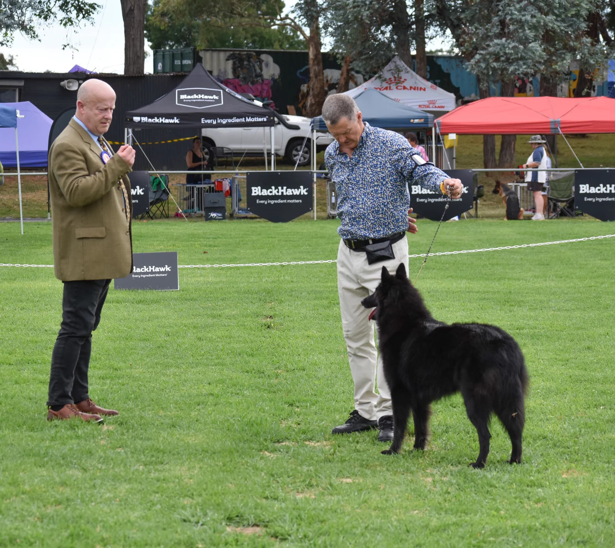 Maddie Canberra Royal on Vimeo