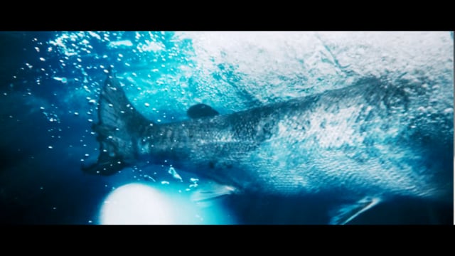 Seama Almarai - Slowstudio