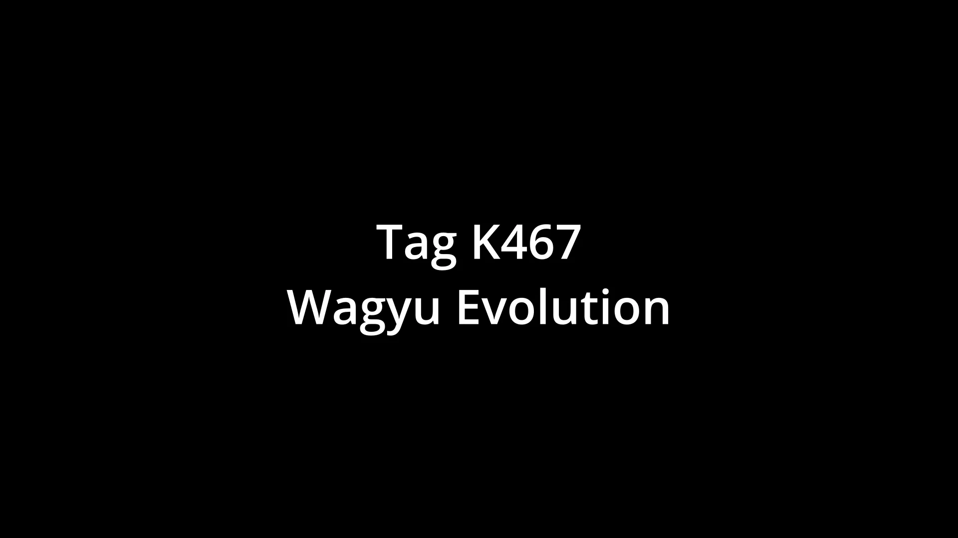 Wagyu Evolution Tag K467