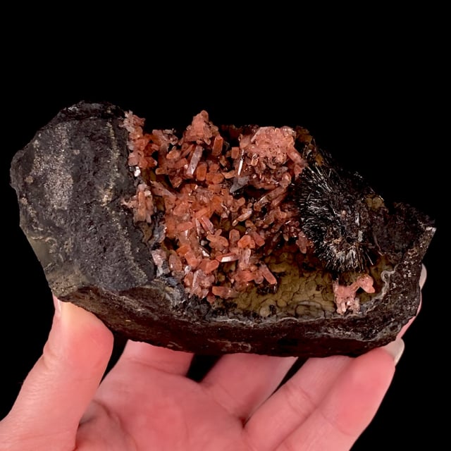 Rhodochrosite with Goethite | Potosí Mine, Francisco Portillo, West ...