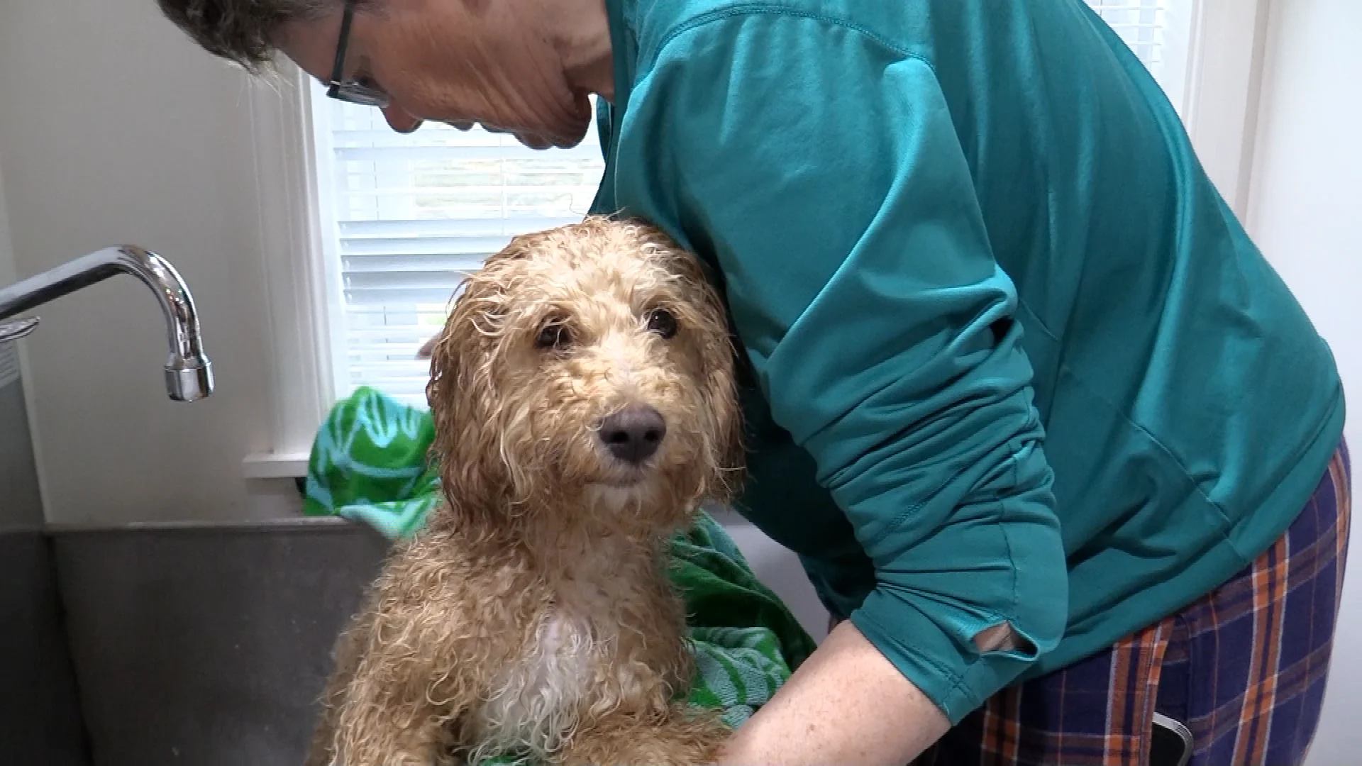 Scampy Takes a Bath on Vimeo