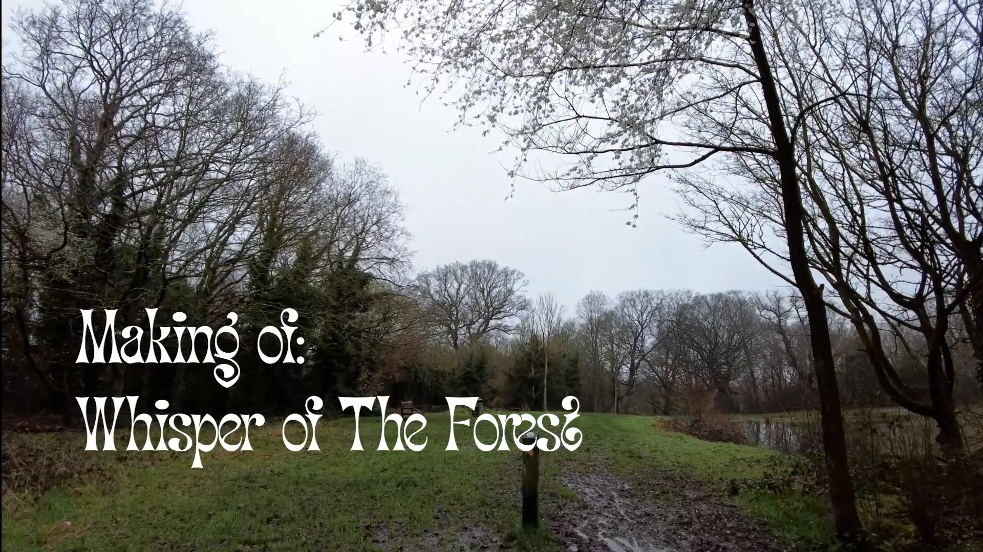 3 Collaborative Unit 2024 - Making of Whispers of The Forest_Jiayan Li, Junwen Ye, Xiaomeng Liu ...