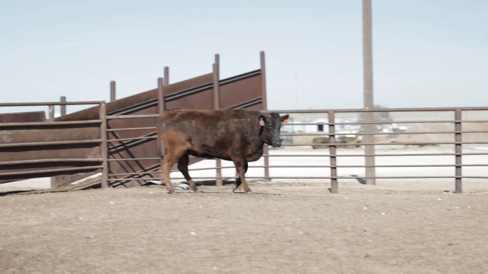 Tag 303 Wagyu Evolution on Vimeo