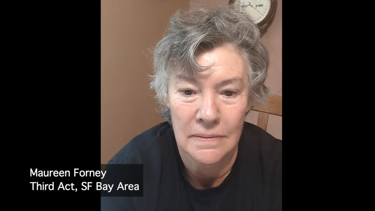 Maureen Forney, Third Act, SF Bay Area about Canvassing