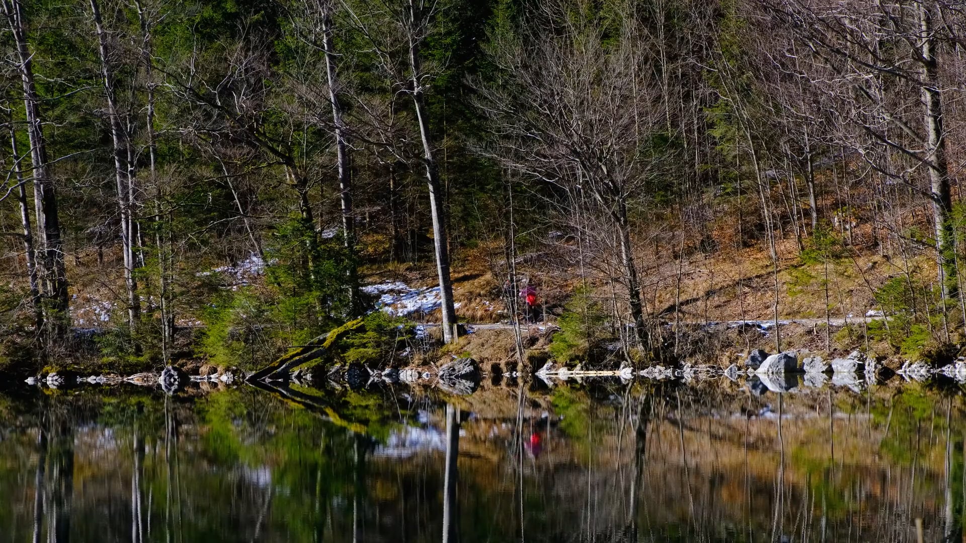 Fighting for You. David Stiver - David vs. The Machine