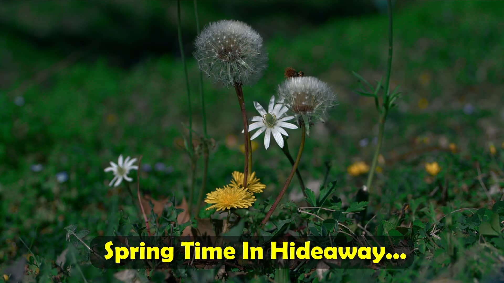 1st Week of March on Vimeo