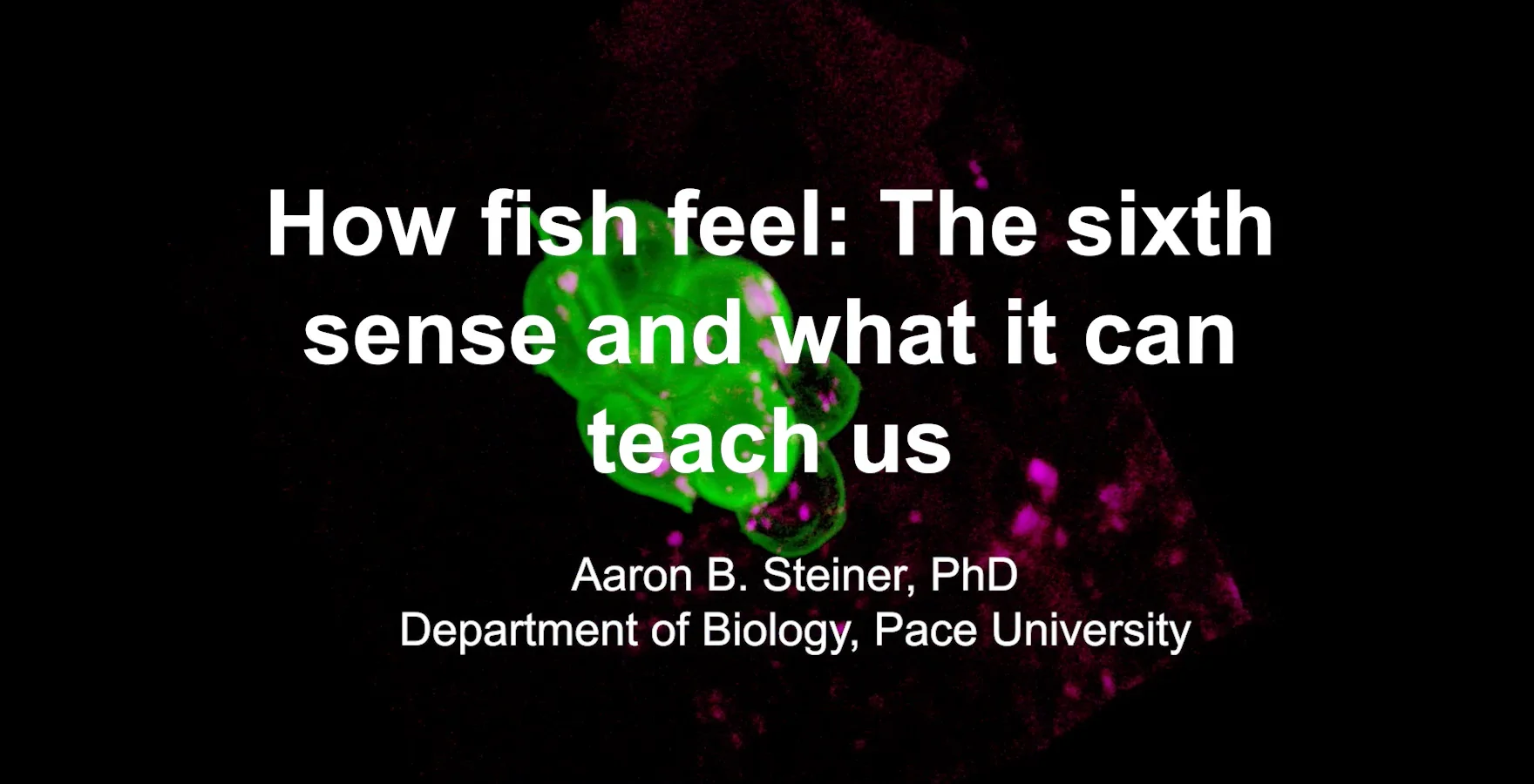 How fish feel: The sixth sense and what it can teach us (Dr. Aaron Steiner)