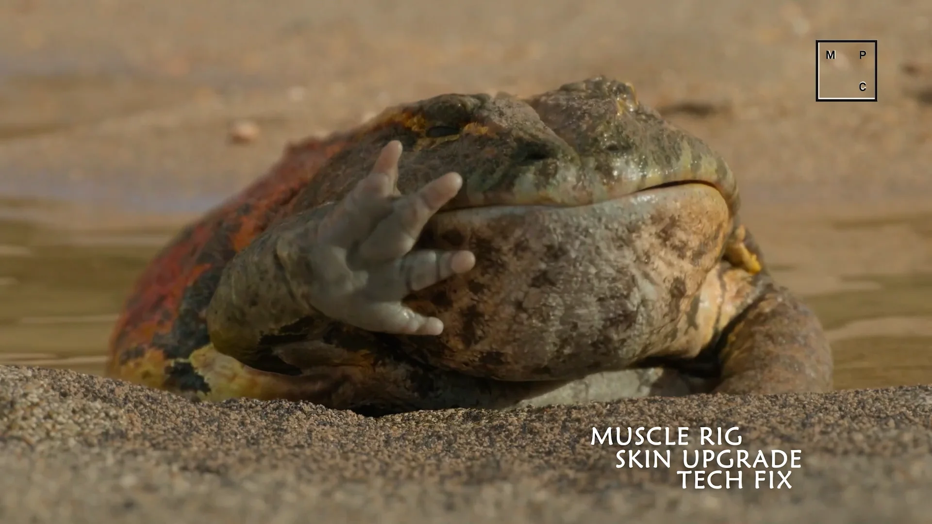 VFX Creature Rigging Showreel 2023 - Gautam Hira on Vimeo