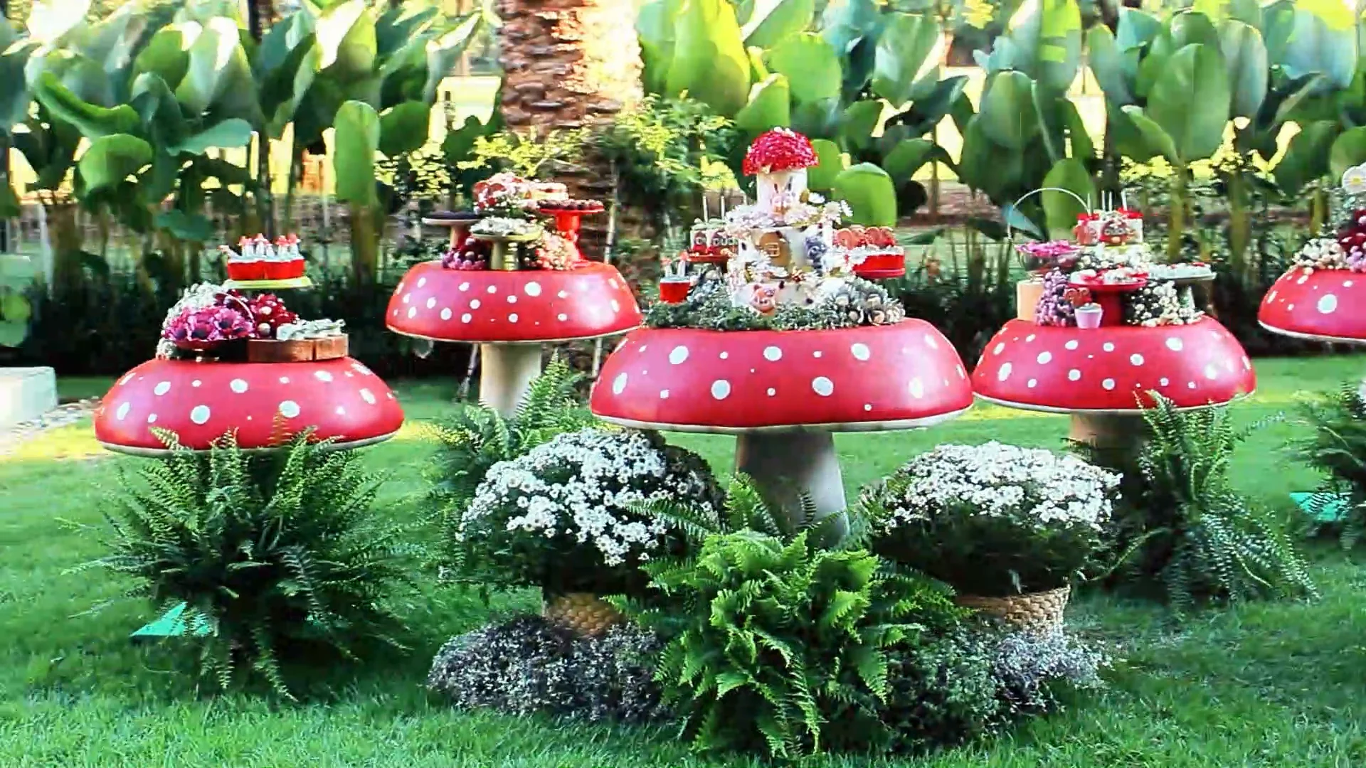 Duda | 5 anos on Vimeo