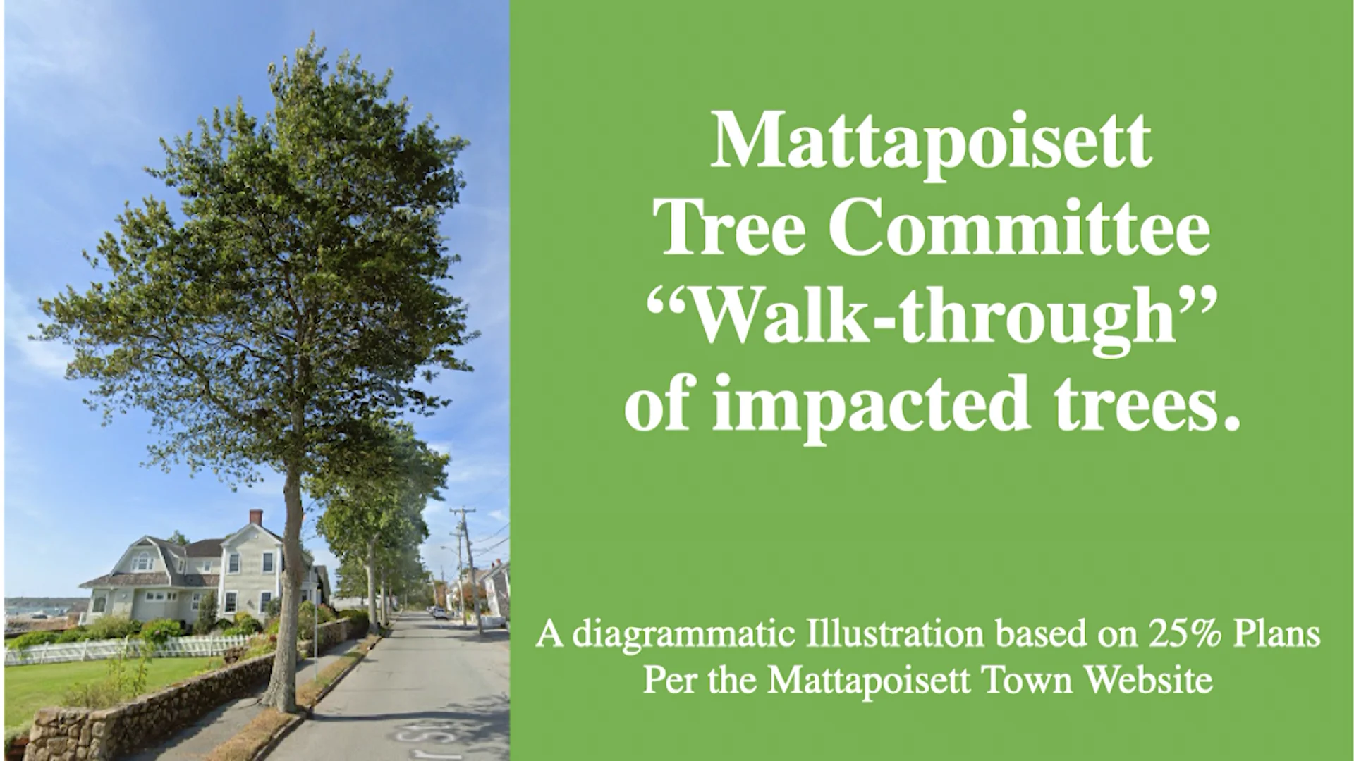 2/28/24 - Mattapoisett Tree Committee: "Walk-through of Impacted Trees ...
