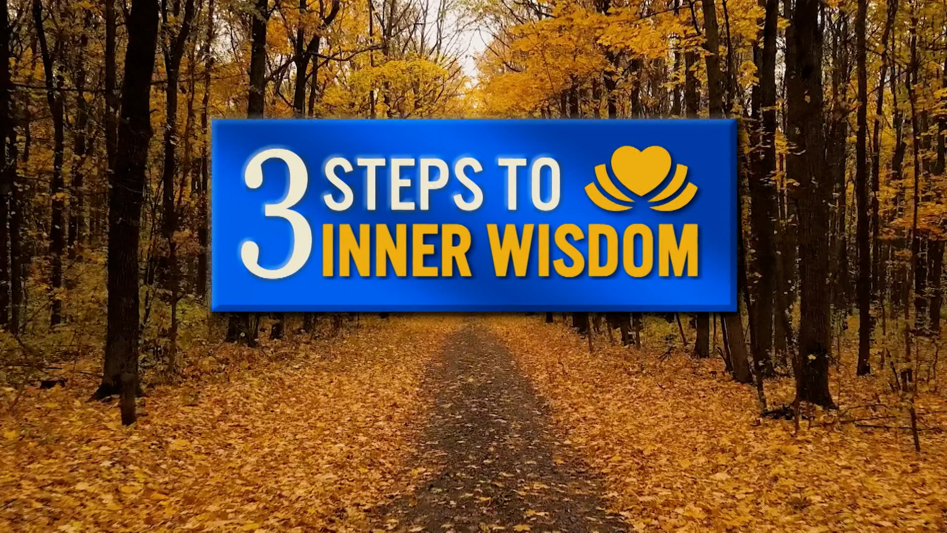 3 Steps To Inner Wisdom - Preview clip on Vimeo