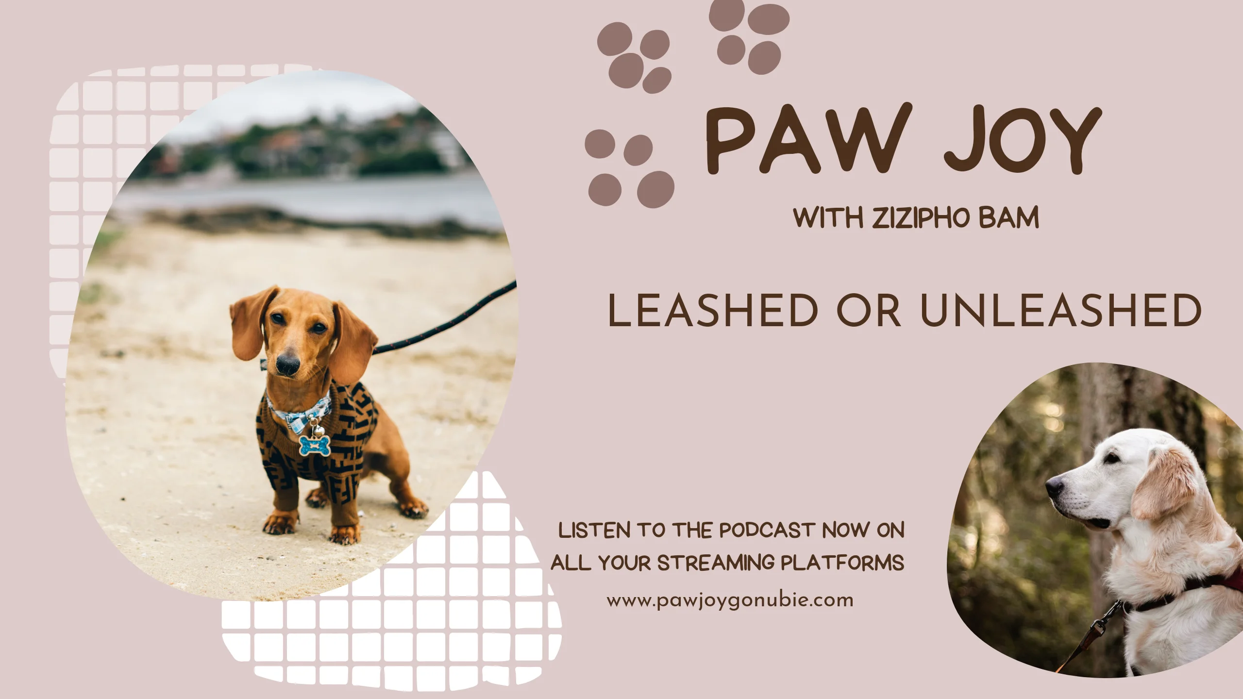 PAW JOY: LEASHED OR UNLEASHED on Vimeo
