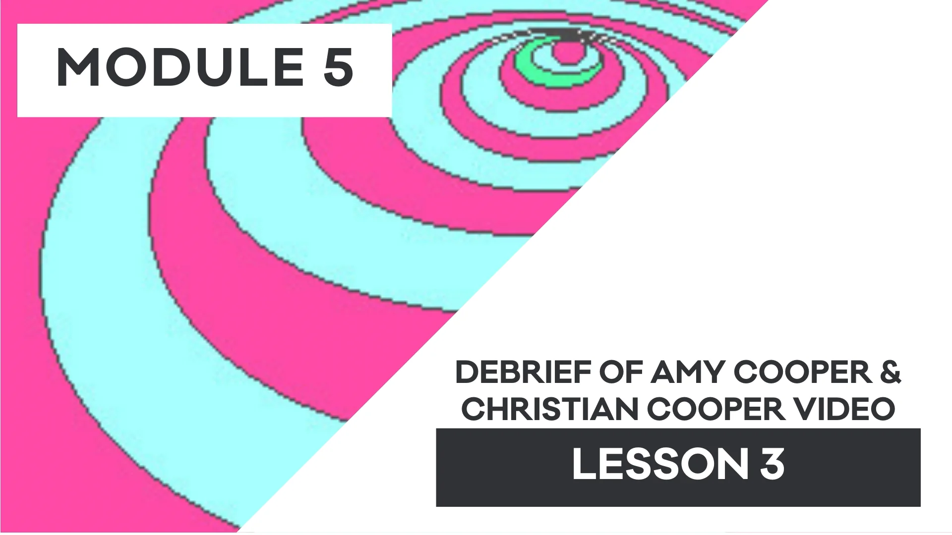 Module 5 Lesson 3-Debrief of Amy Cooper & Christian Cooper video on Vimeo
