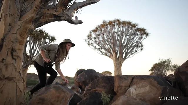 Vinette Wine in a Can on Vimeo