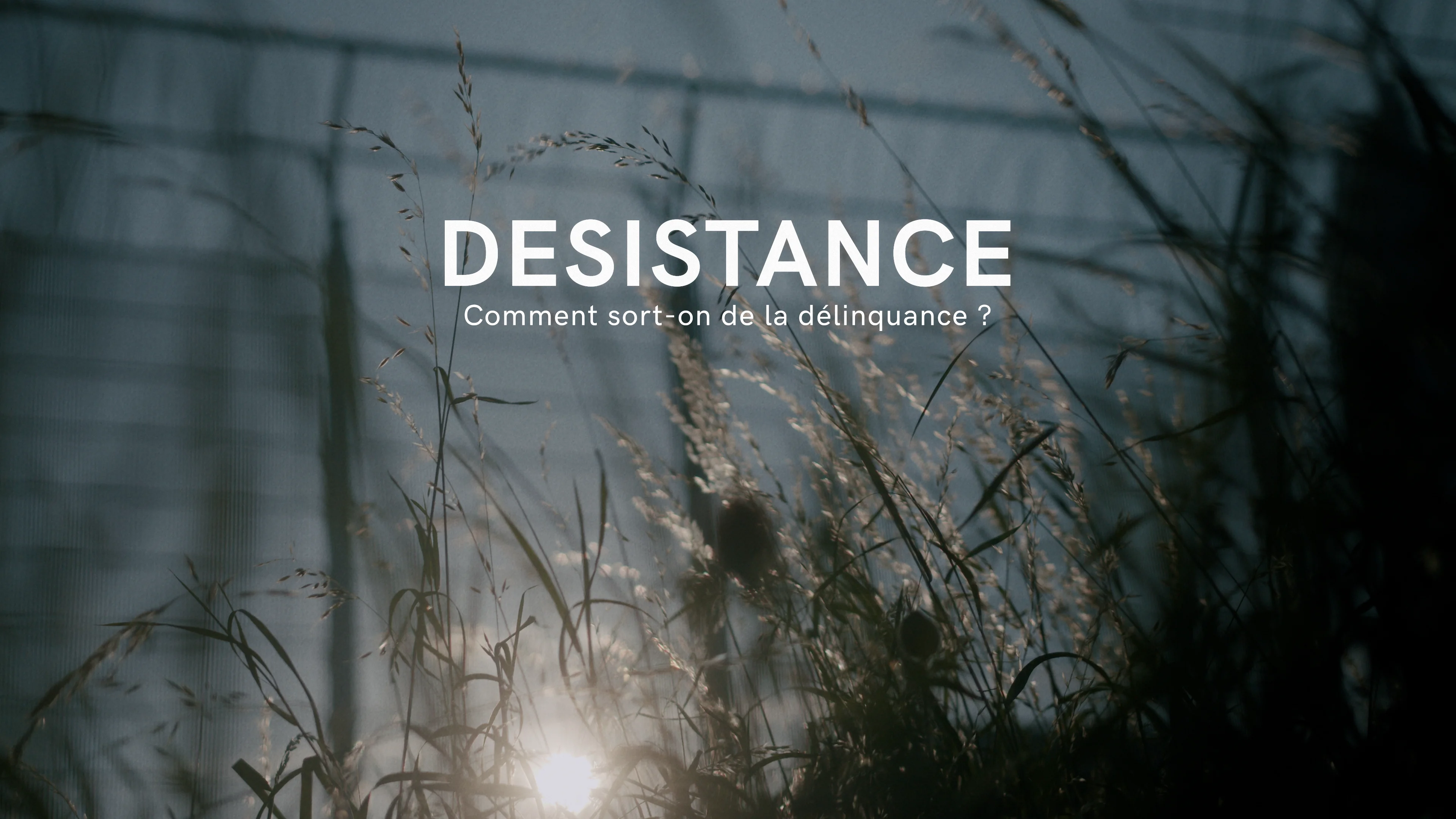 Trailer Desistance FR