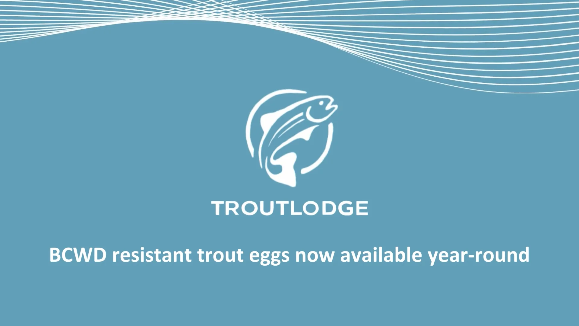 Troutlodge -BCWD resistant trout eggs now available year-round on Vimeo