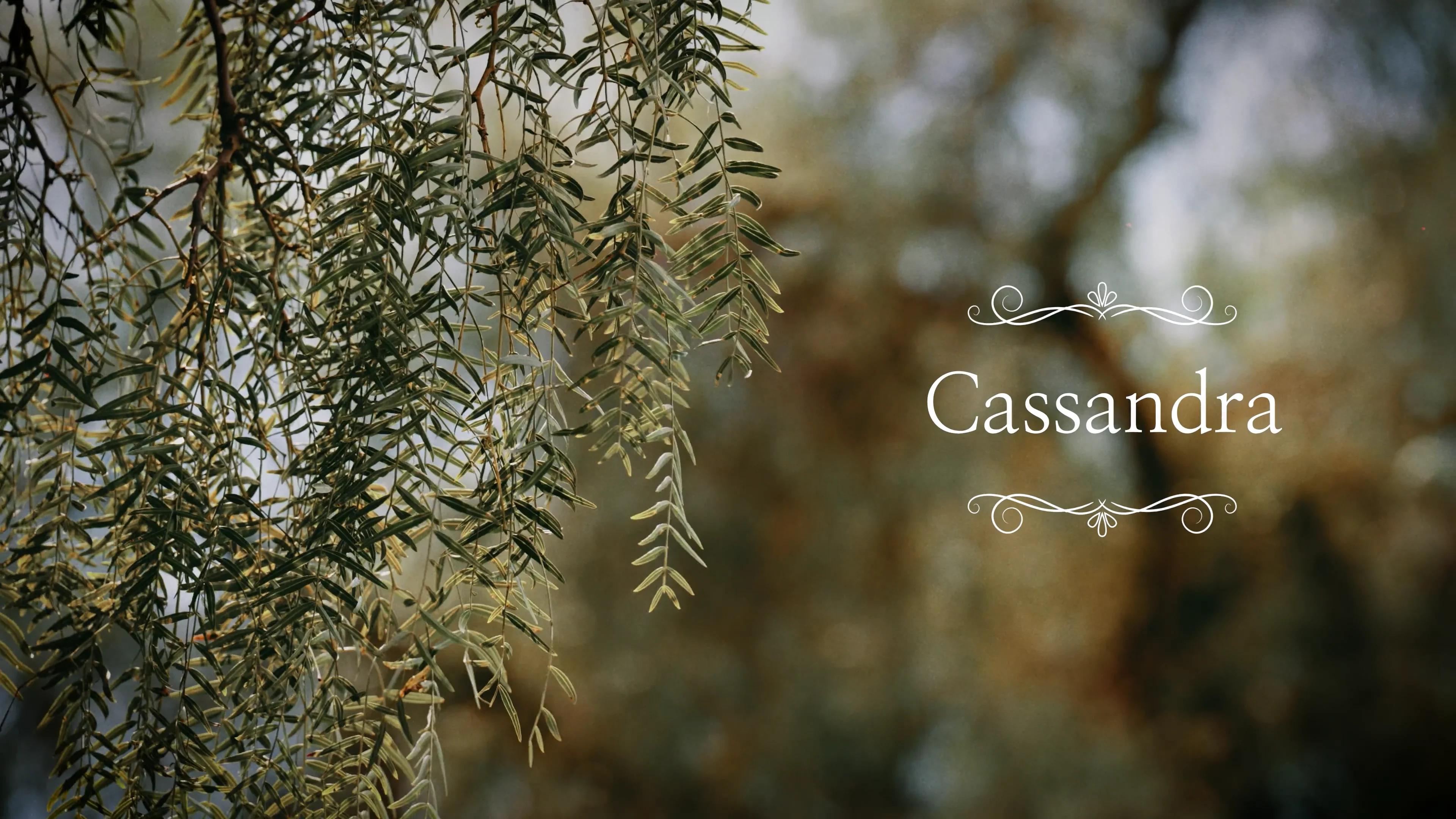 Cassandra Xv Años on Vimeo