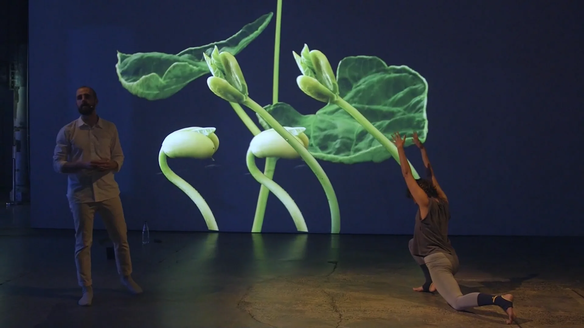 Tully Arnot - 3 min reel on Vimeo