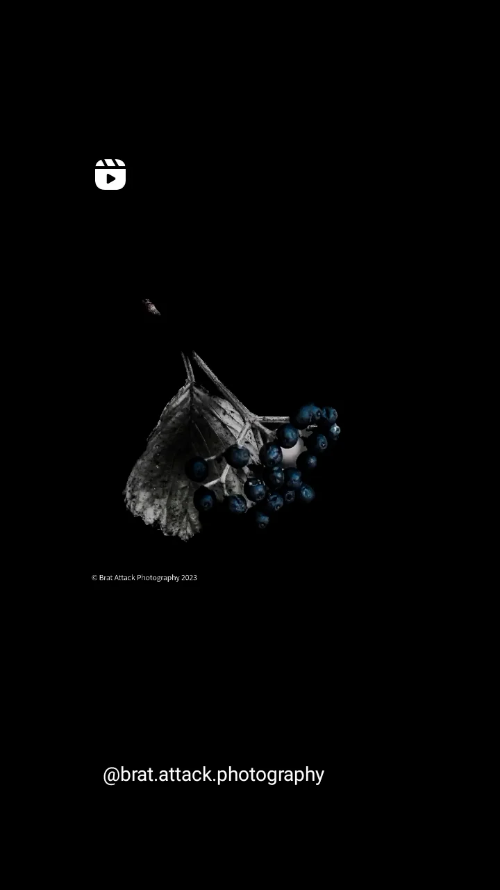 I'm A Masterpiece on Vimeo