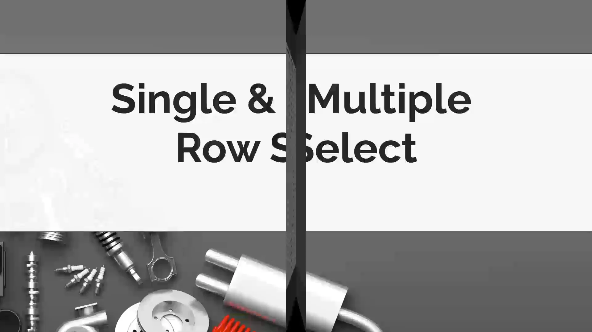 PW_9_PartsWatch_Grid_Single_and_Multiple_Row_Select_PU_03072024_1mins