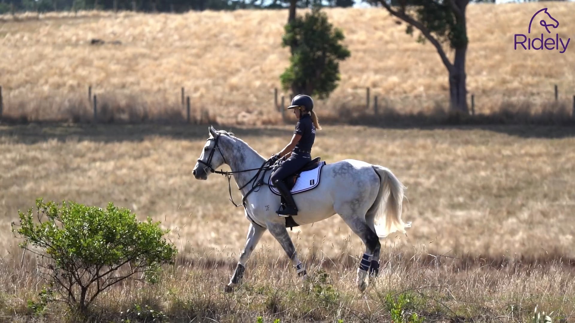 Spooking on Hacks | Ridely