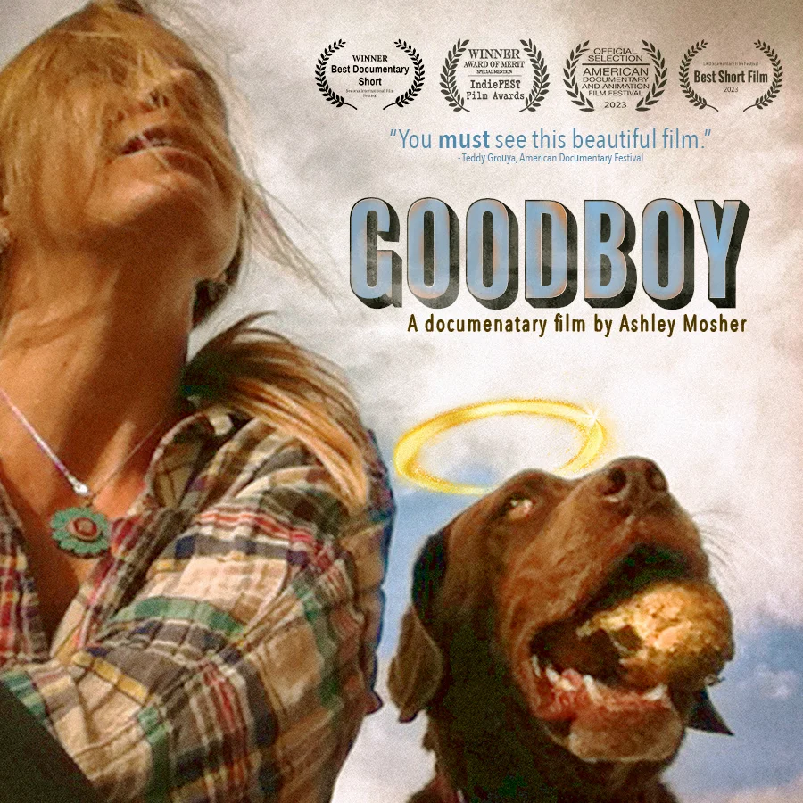Goodboy Trailer