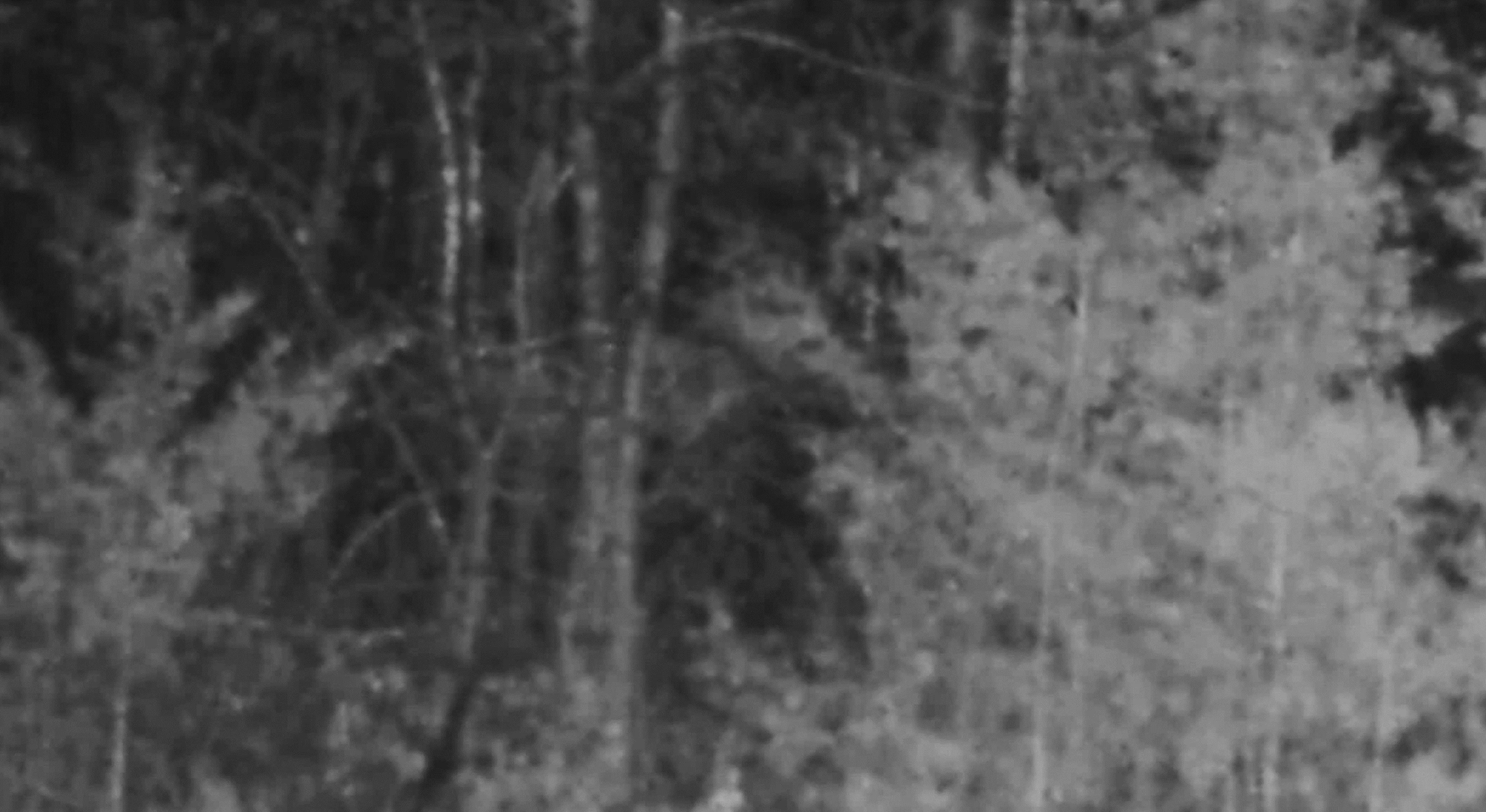 Learning To See2 on Vimeo
