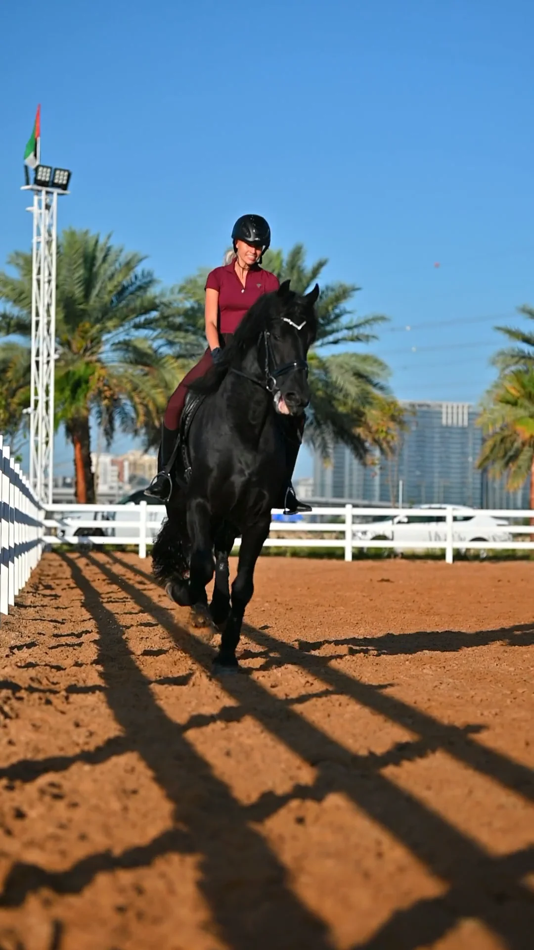 Equestrian Video on Vimeo