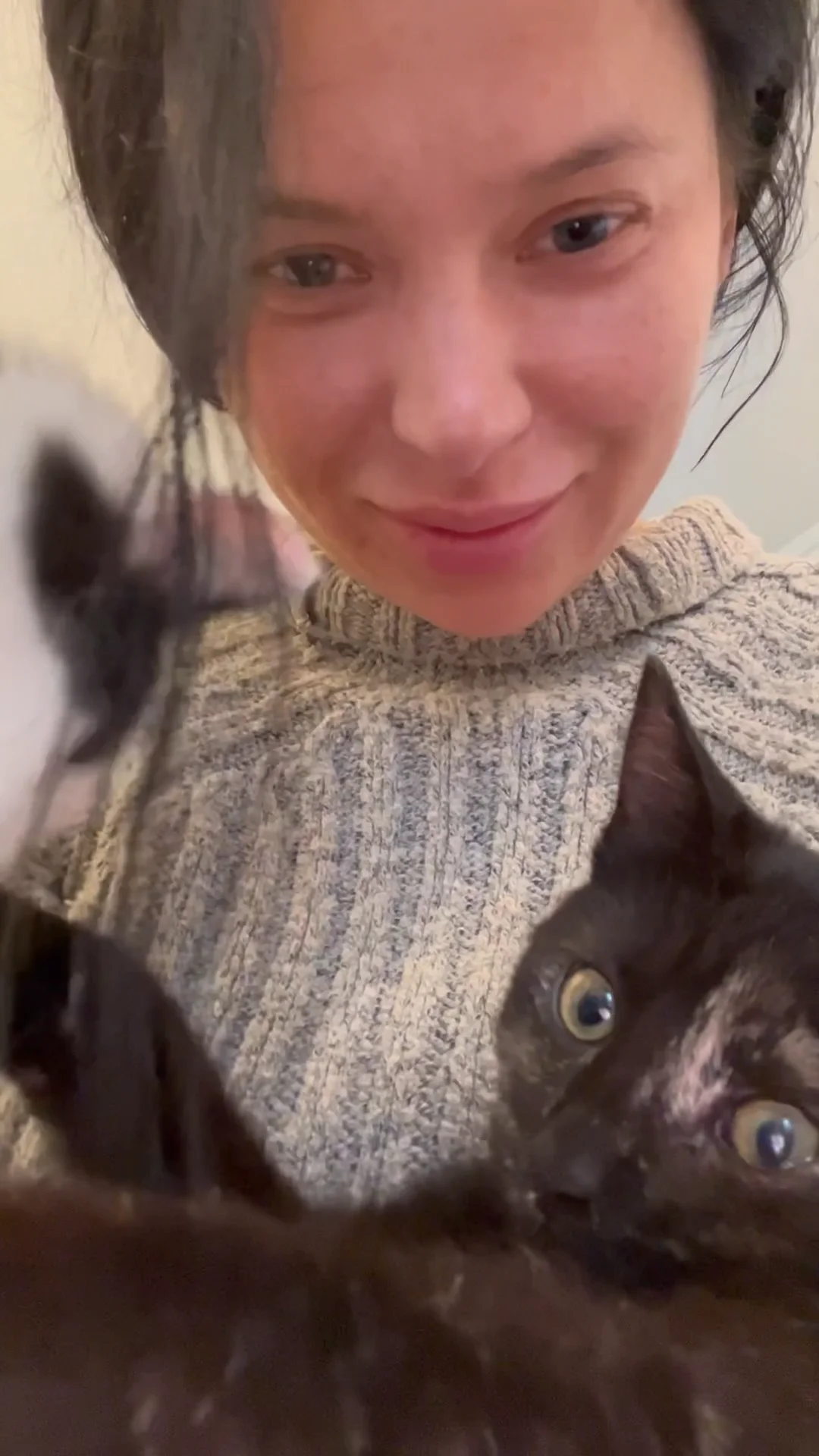 Kattungas days after adoption on Vimeo