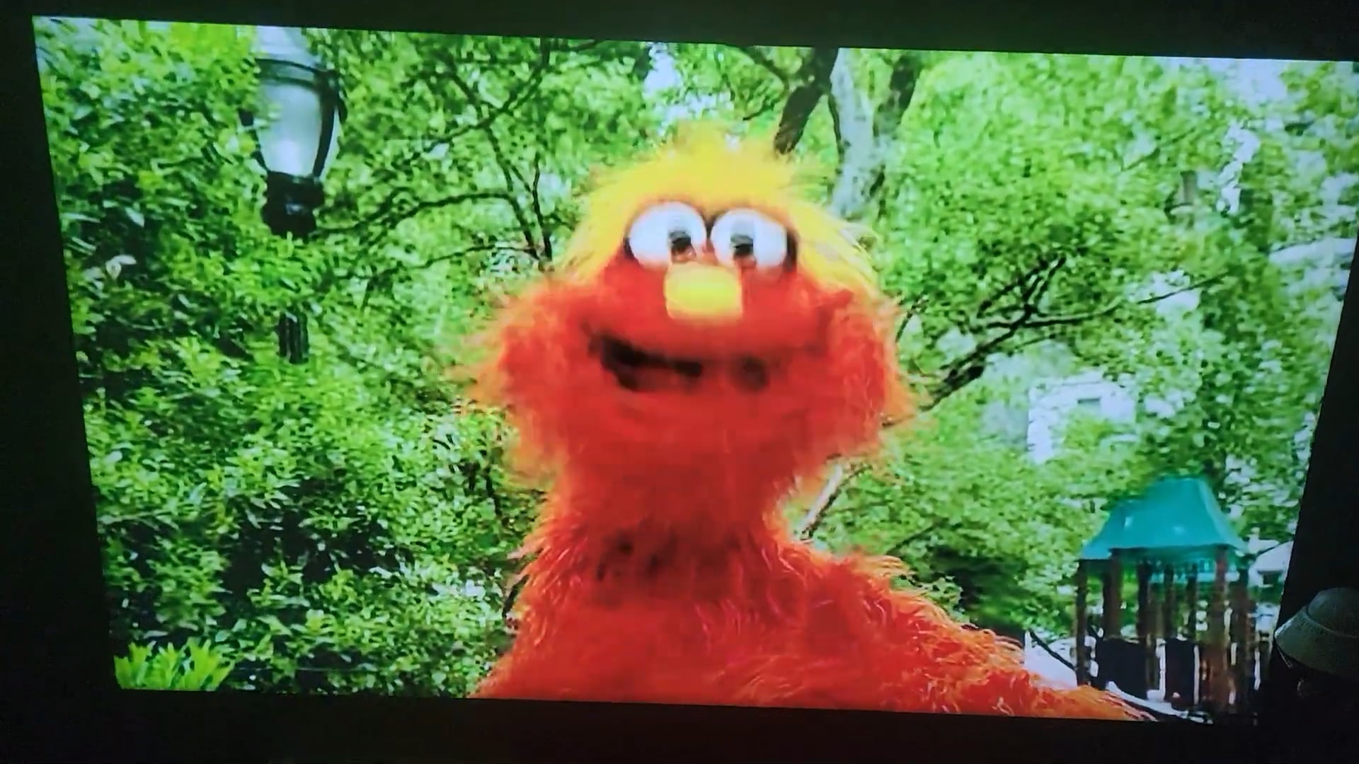 Sesame Street Murray