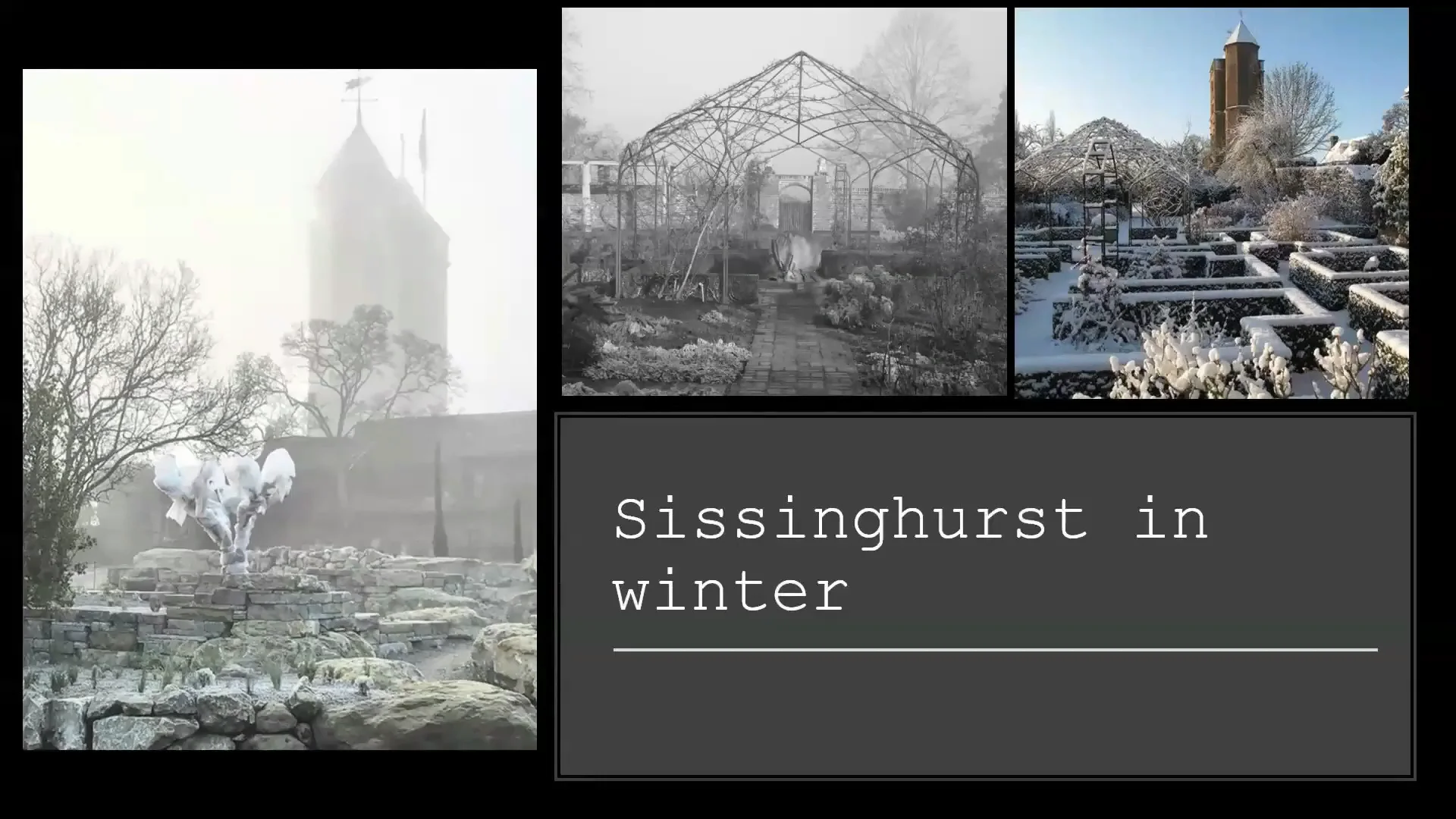 Watch Troy Scott-Smith on Winter Online | Vimeo On Demand on Vimeo